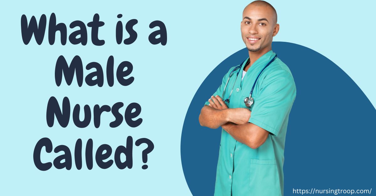 What Is A Male Nurse Called NursingTroop What Is A Male Nurse Called NursingTroop